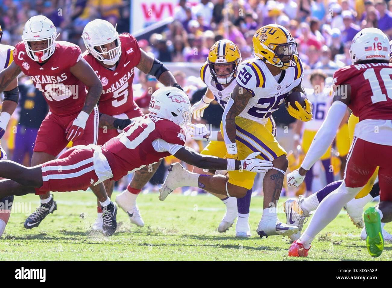 LSU Tigers running back Caden Durham (29) runs past Arkansas Razorbacks ...