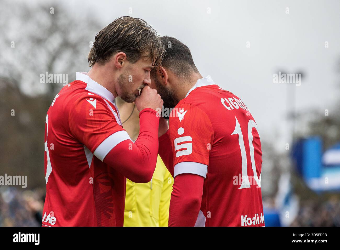 Potsdam, Germany November 15, 2025: Landespokal Brandenburg - 2025/2026 ...