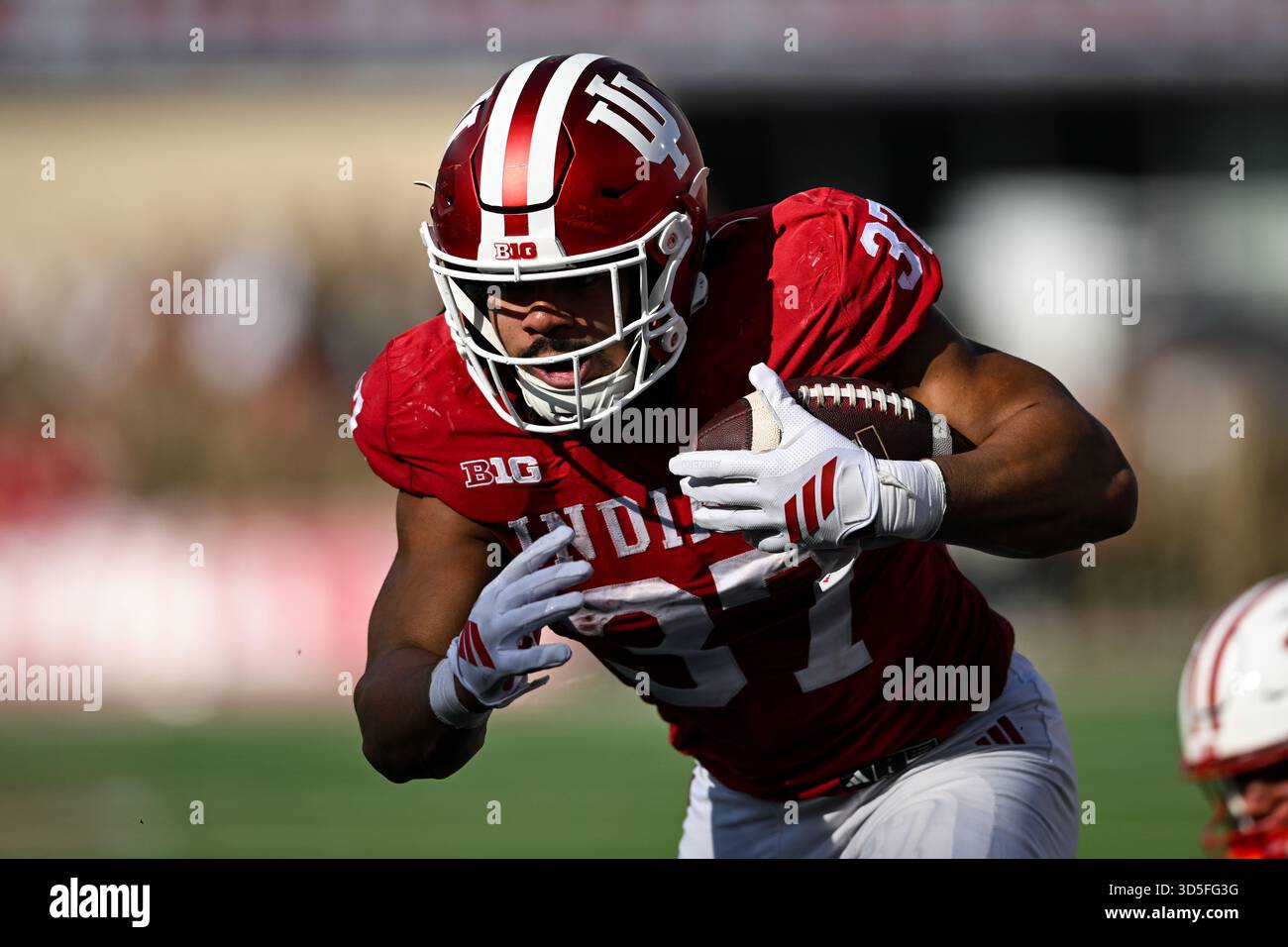 BLOOMINGTON, IN - NOVEMBER 15: Indiana Hoosiers TE Riley Nowakowski (37 ...