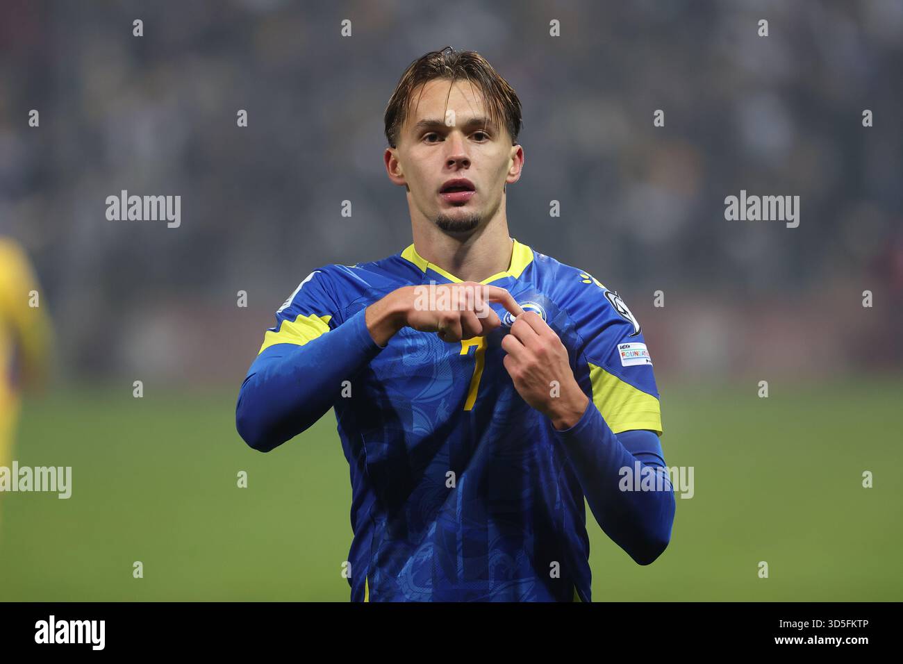 Bosnia's Amar Dedic celebrates after Esmir Bajraktarevic, scored his ...
