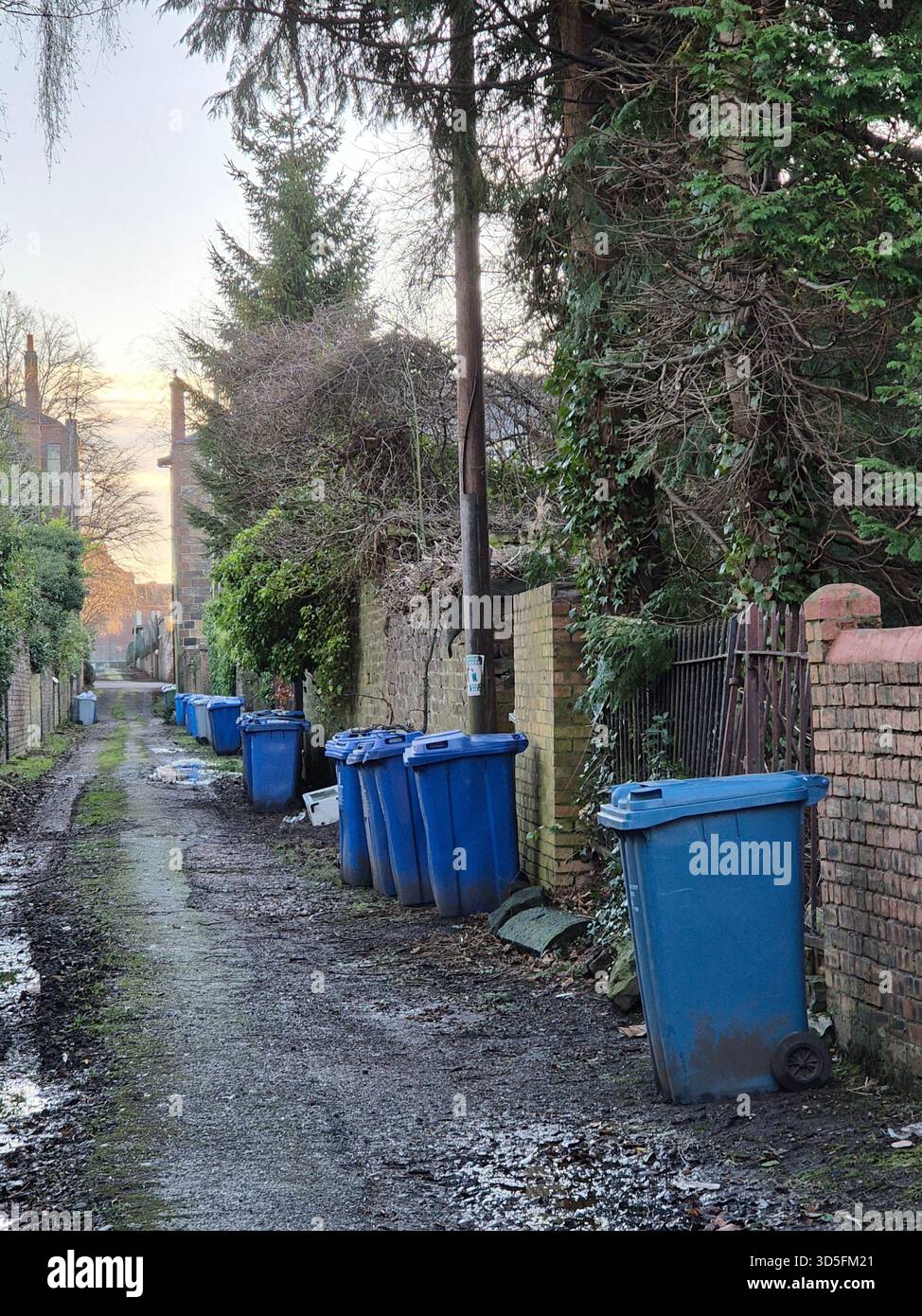 Bin collection day - wheelie bins out on an alleyway, Glasgow, Scotland ...