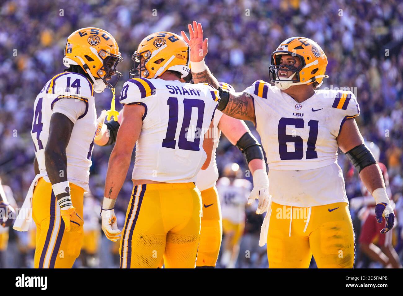 LSU tight end Bauer Sharp (10) celebrates his touchdown reception with ...