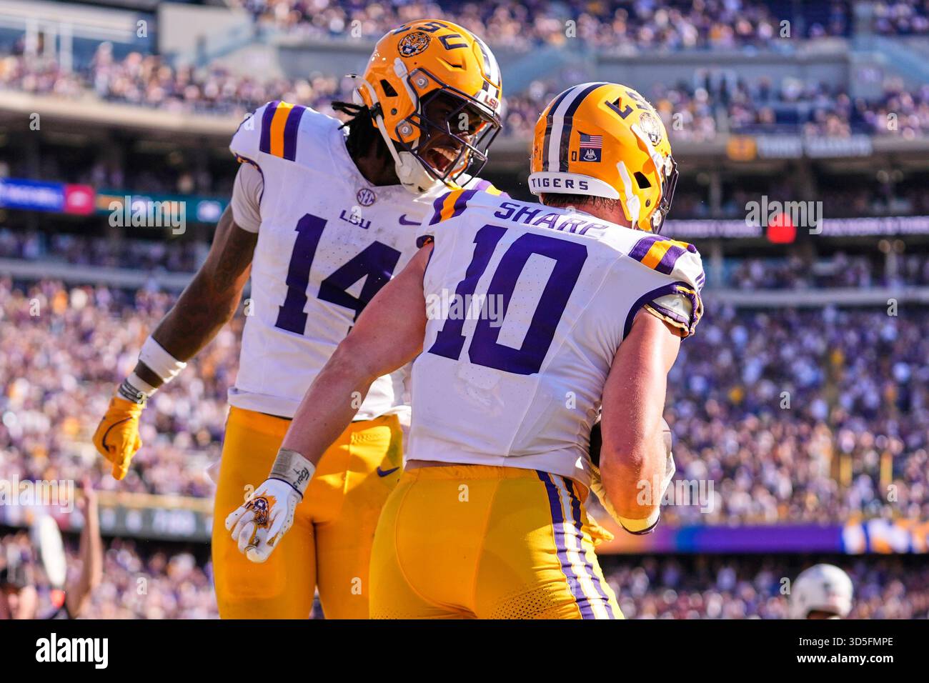 LSU tight end Bauer Sharp (10) celebrates his touchdown reception with ...