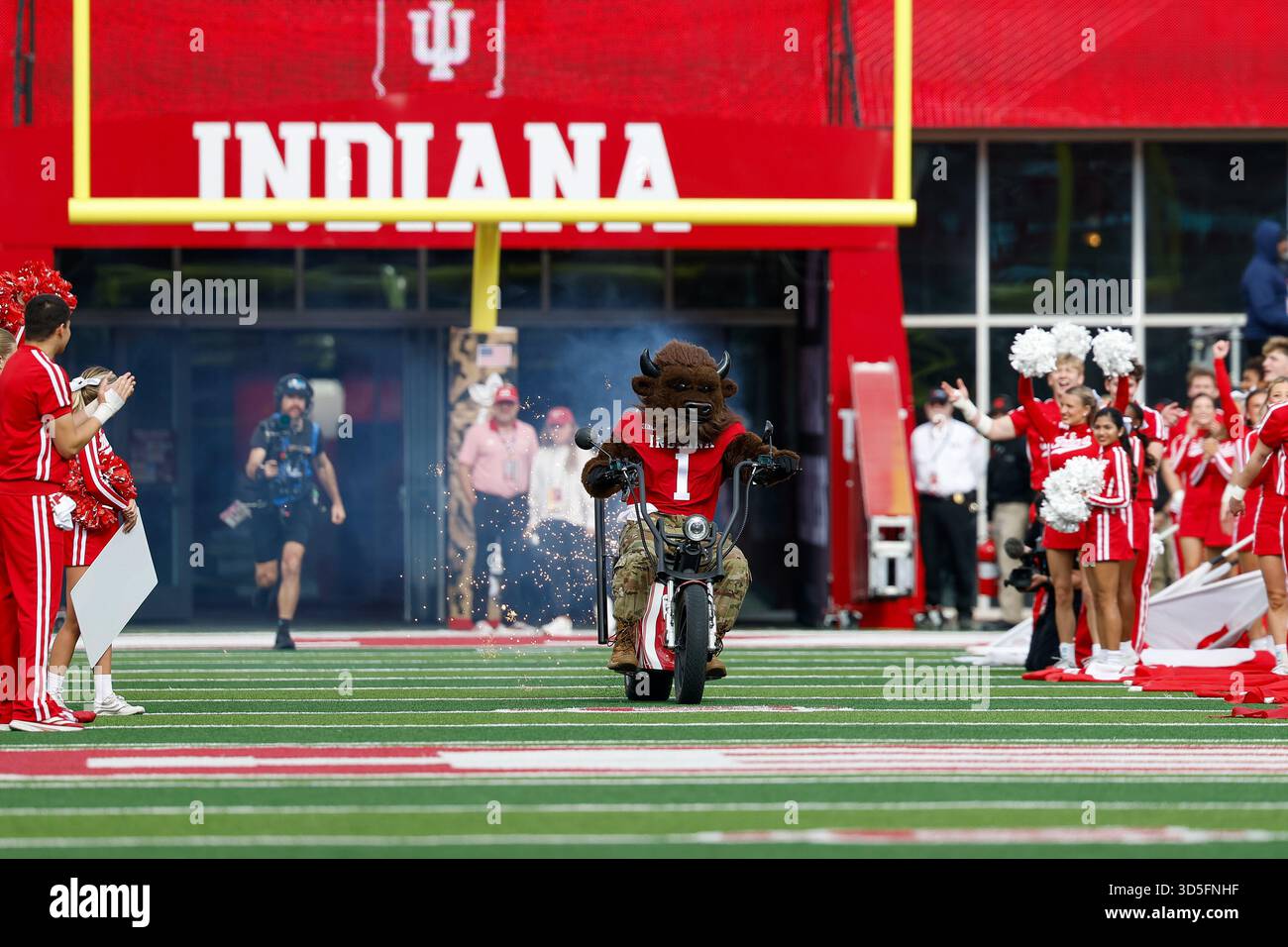 November 15, 2025: Indiana Hoosiers mascot Hoosier during the NCAA ...