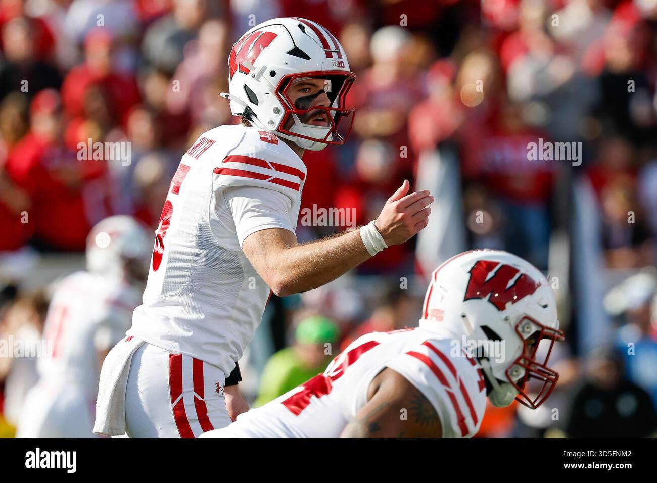 November 15, 2025: Wisconsin Badgers quarterback Carter Smith (5 ...