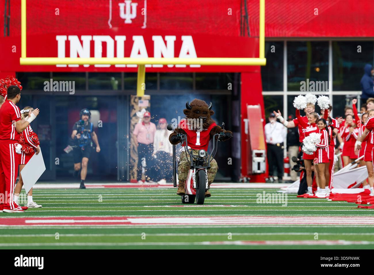 November 15, 2025: Indiana Hoosiers mascot Hoosier during the NCAA ...