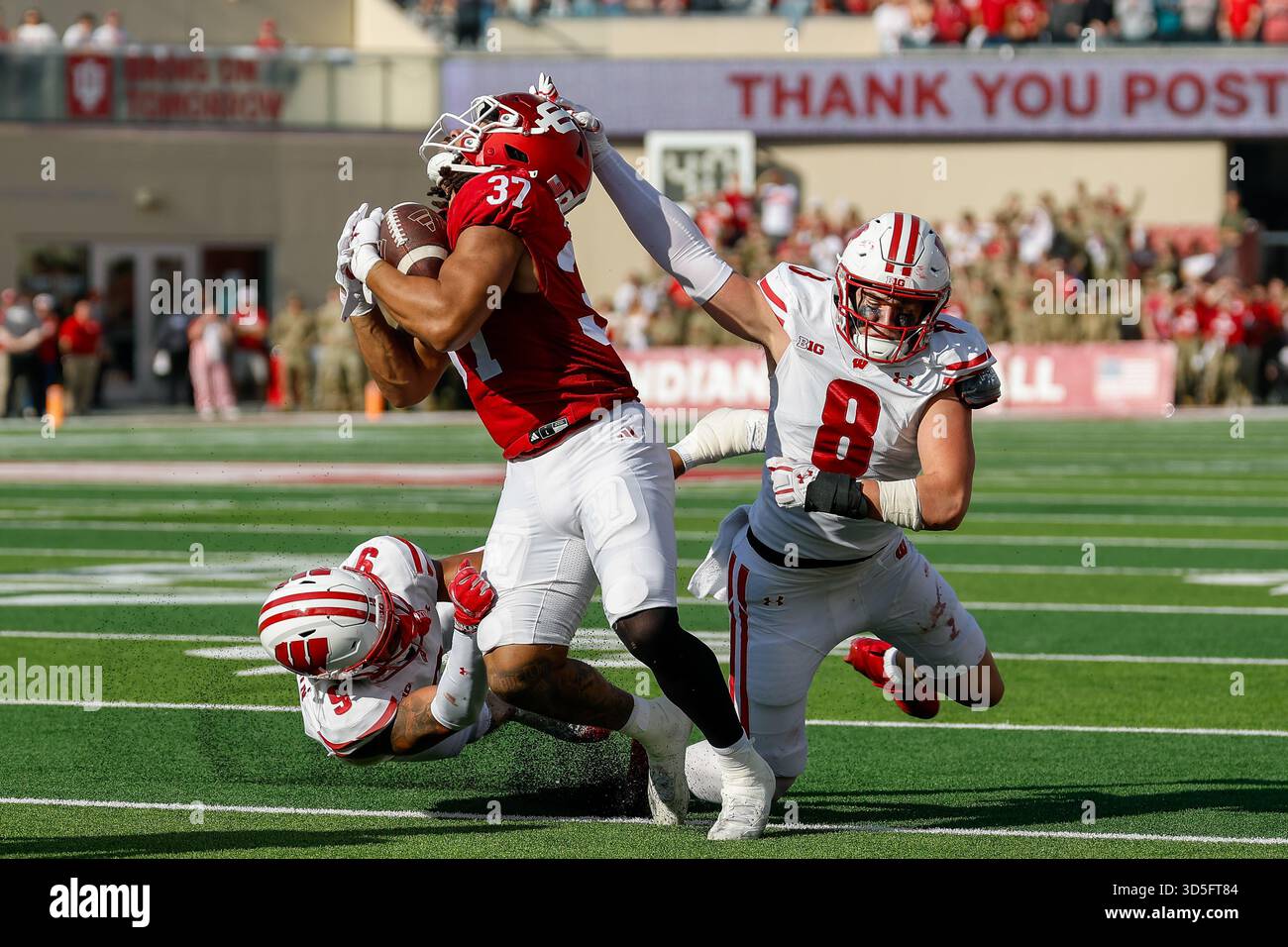 November 15, 2025: Indiana Hoosiers tight end Riley Nowakowski (37 ...
