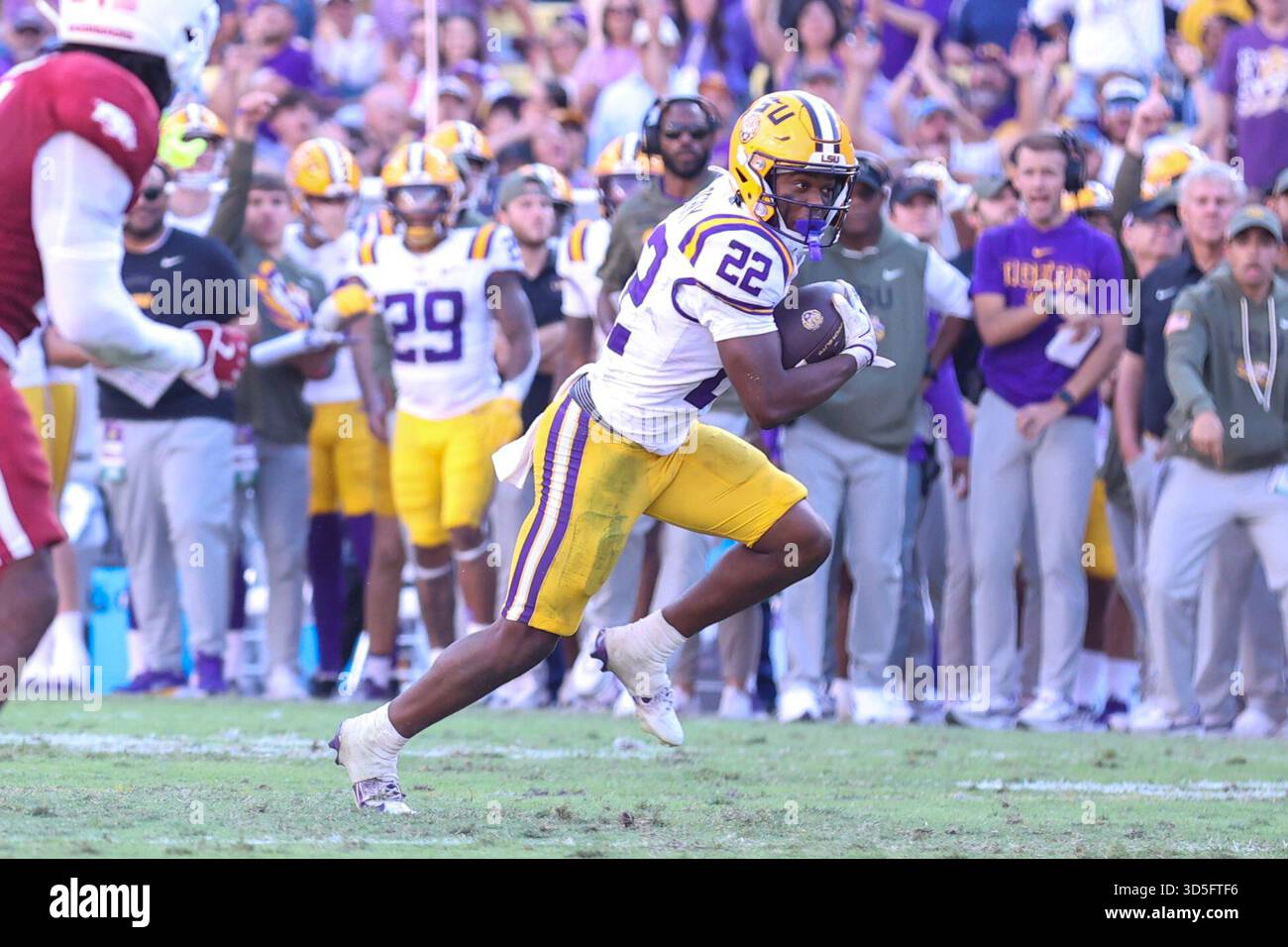 LSU Tigers running back Harlem Berry (22) rush for some yardage during ...