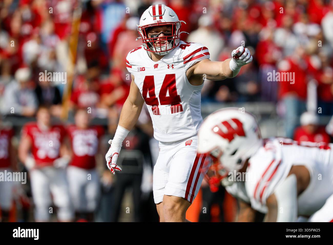 November 15, 2025: Wisconsin Badgers linebacker Cooper Catalano (44 ...
