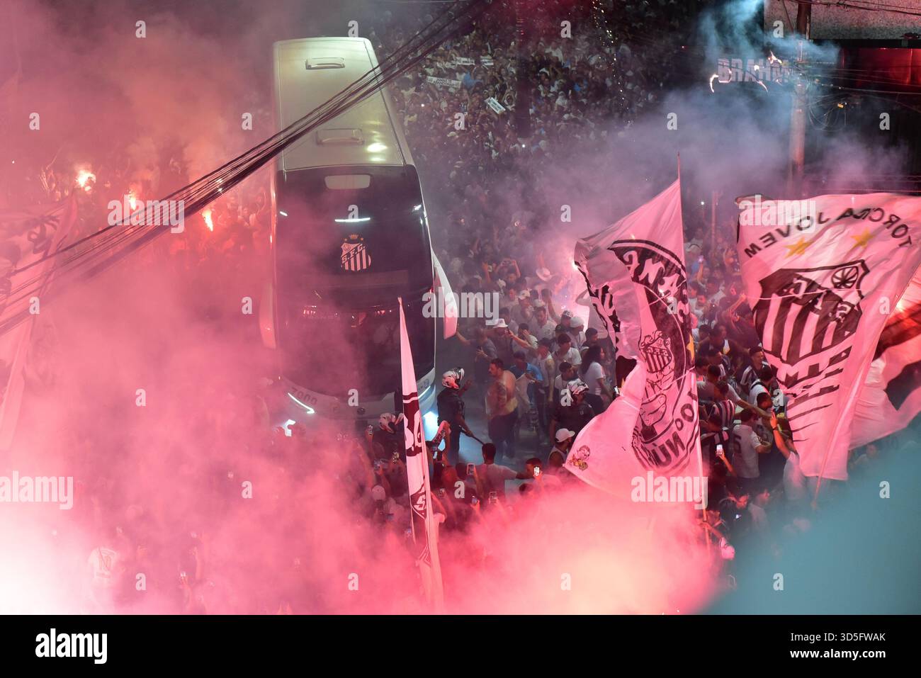 SP - SANTOS - 11/15/2025 - BRAZILIAN CHAMPIONSHIP A 2025, SANTOS x ...