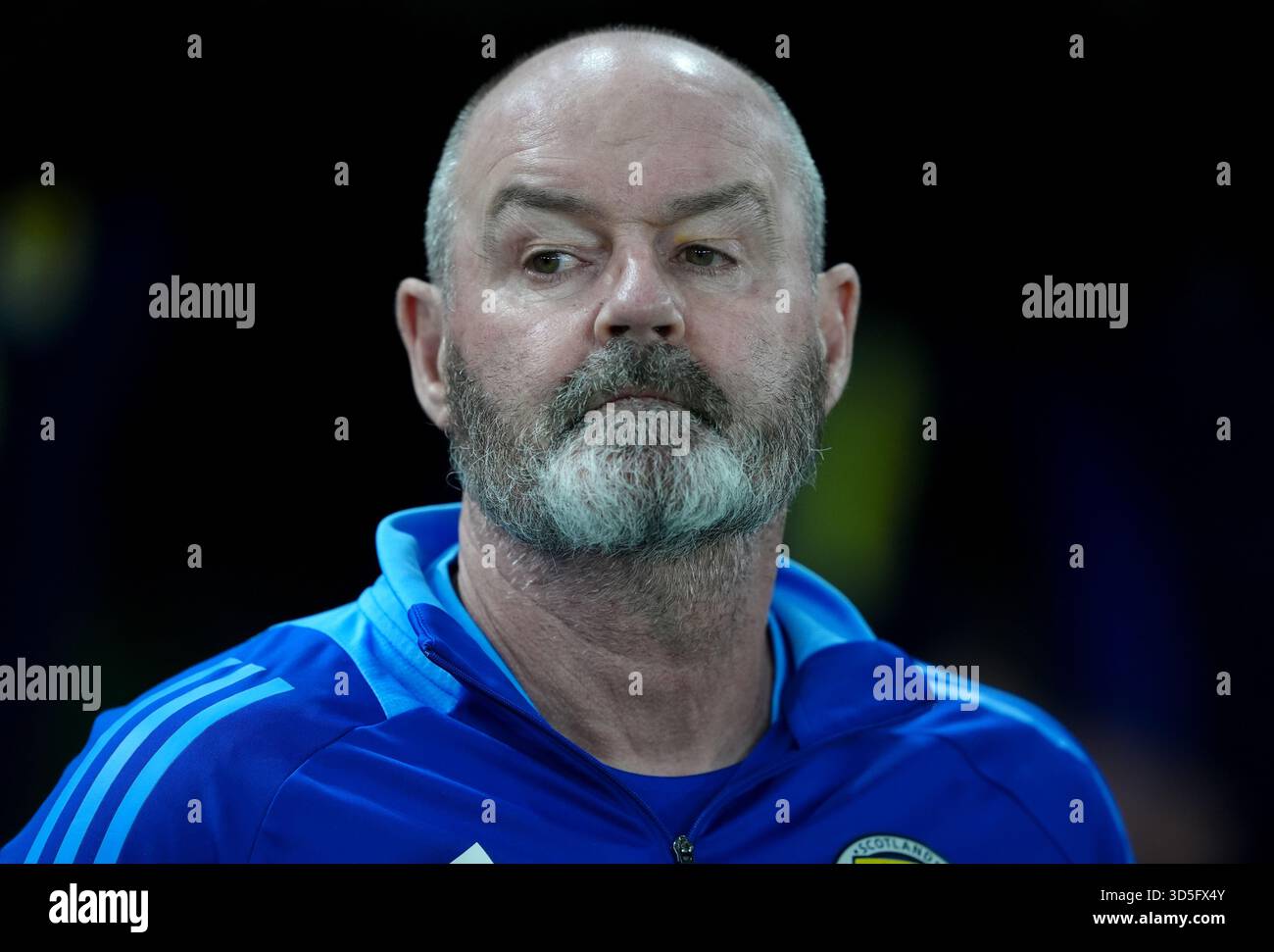 Scotland manager Steve Clarke during the FIFA World Cup European ...