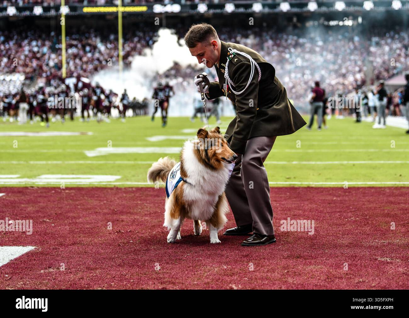 November 15, 2025, College Station, Texas, USA: Texas A&M Aggie mascot ...