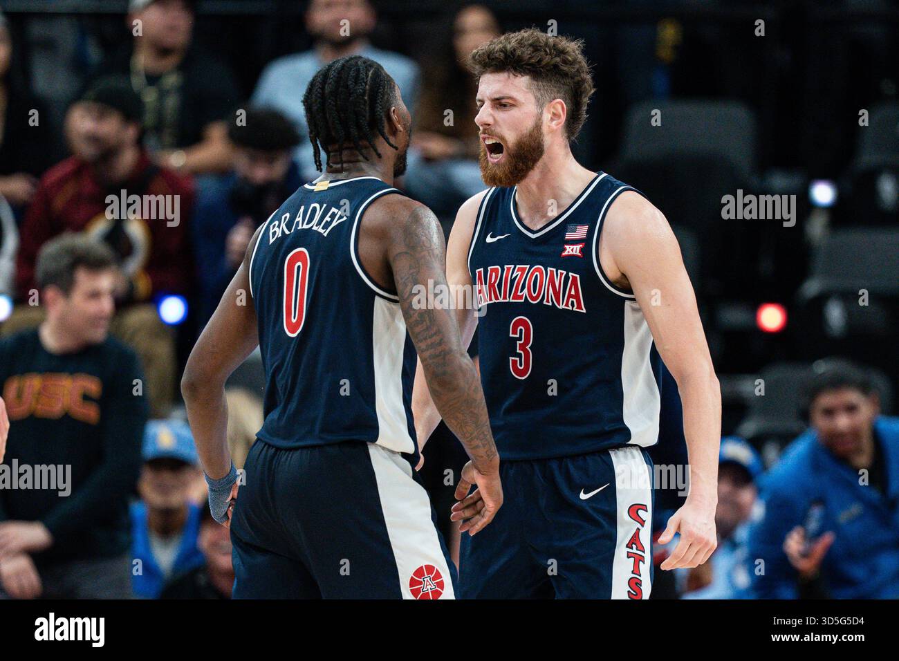 Arizona Wildcats guard Anthony Dell'Orso (3) celebrates with guard ...