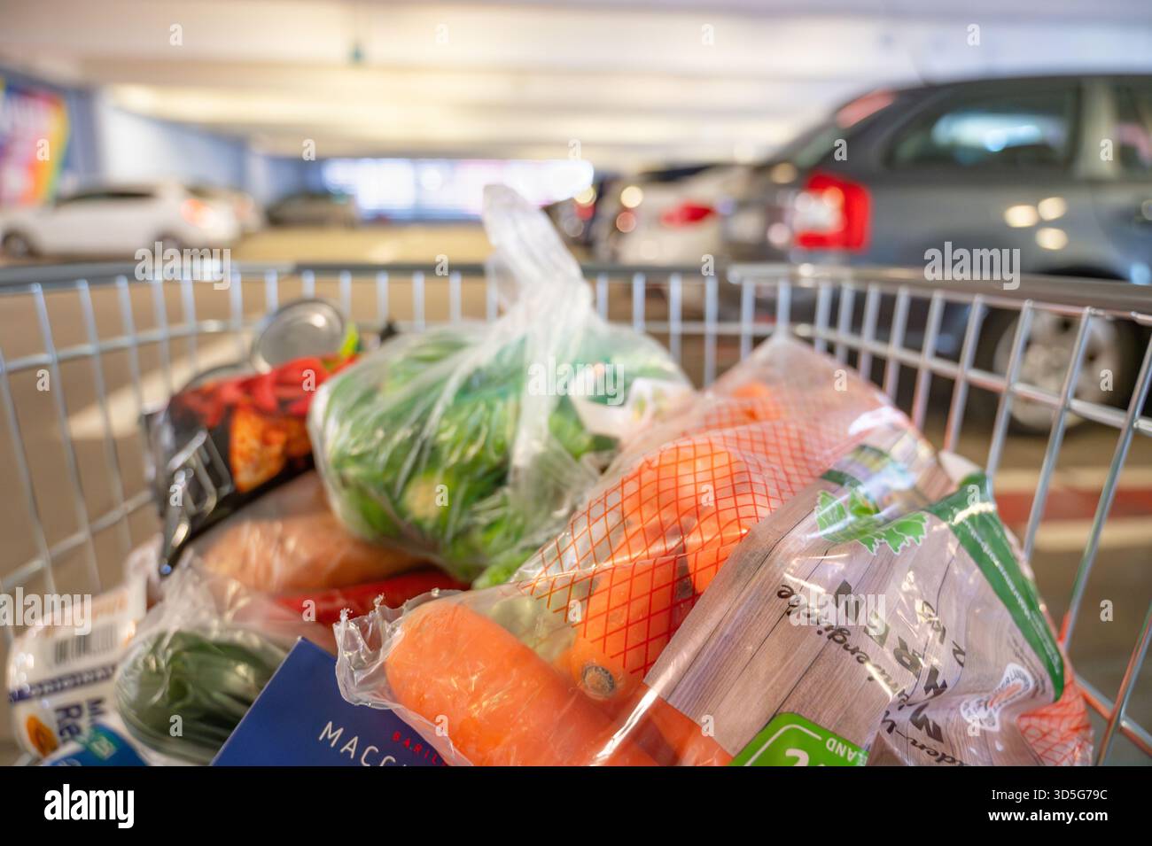 Fresh Vegetables And Canned Food In Shopping Cart, Buying Grocery ...