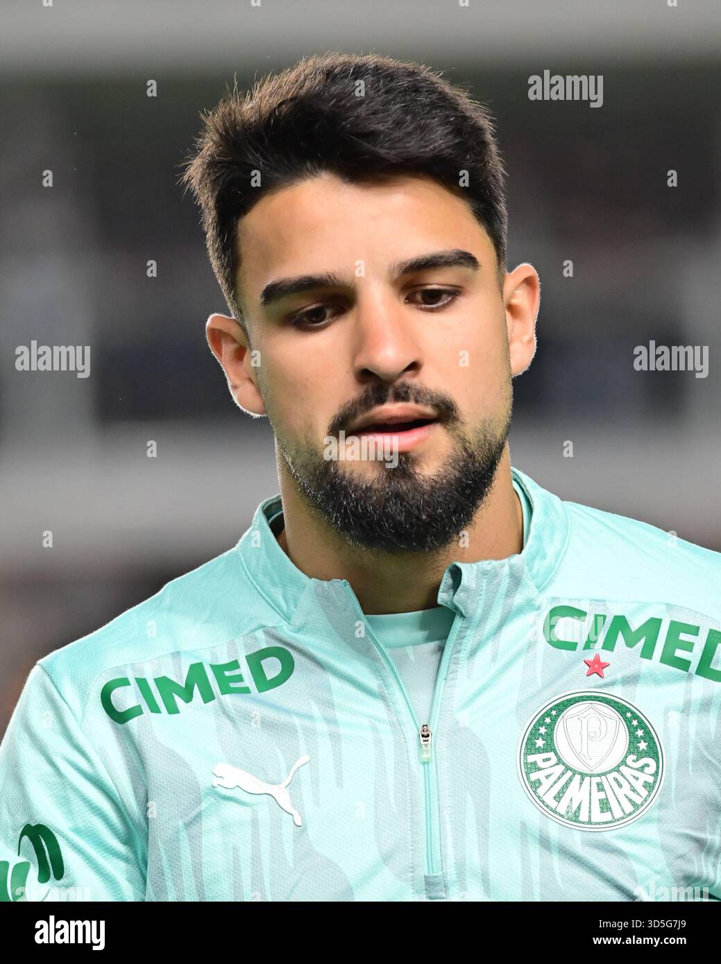 SP - SANTOS - 11/15/2025 - BRAZILIAN CHAMPIONSHIP A 2025, SANTOS x ...