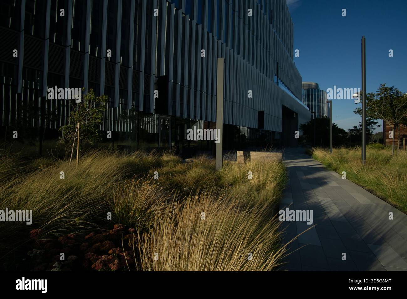 Daytime view of Meta's Reality Labs technology campus in Burlingame ...
