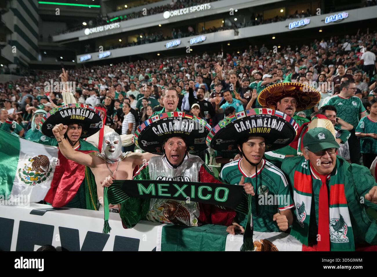 Mexican fans cheer for their team prior to an international friendly ...