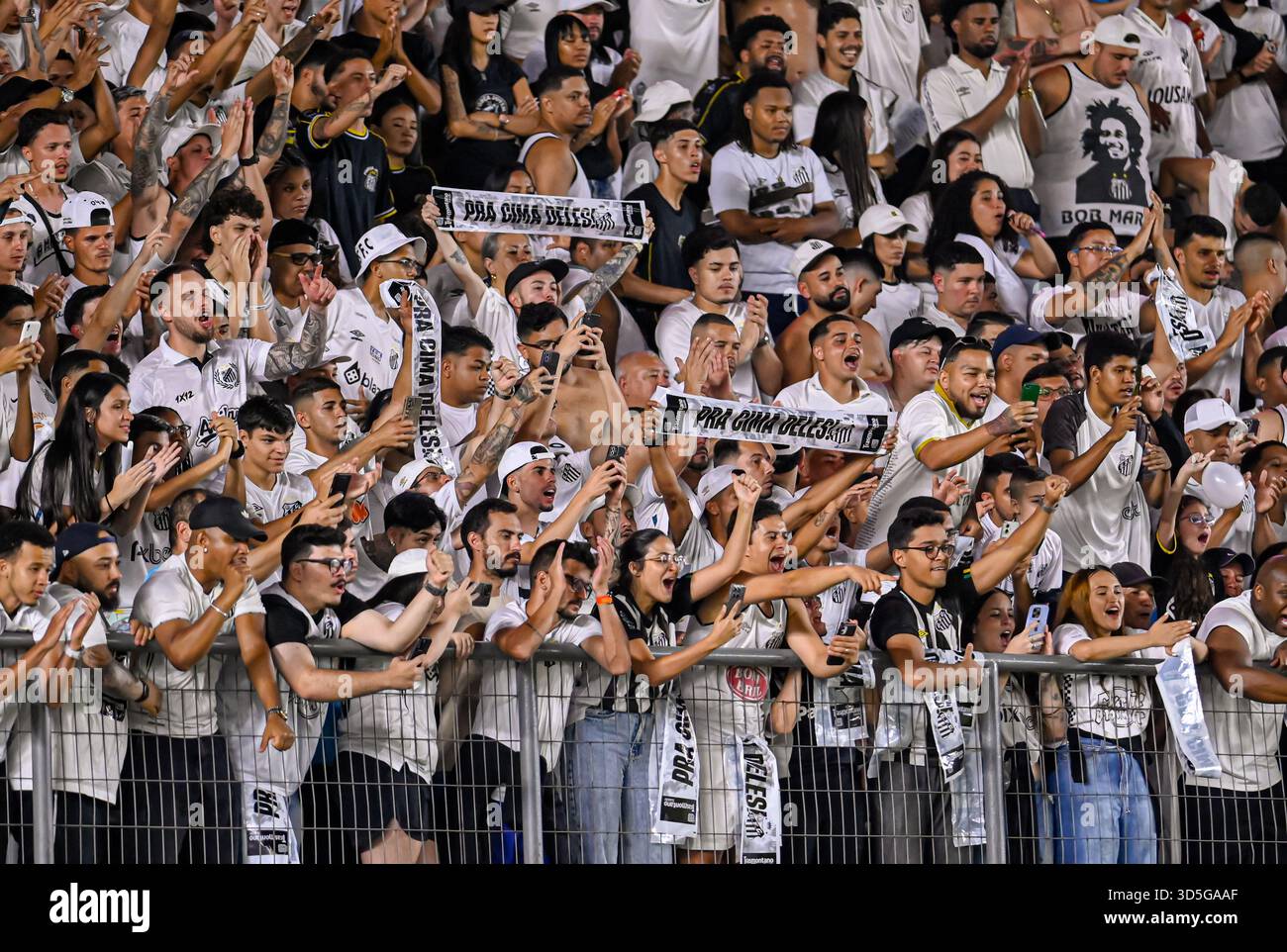 SANTOS, SP - 15.11.2025: SANTOS X PALMEIRAS - Santos fans celebrate ...