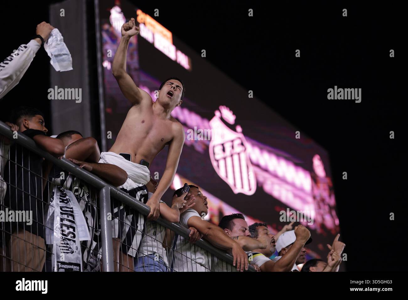 SP - SANTOS - 11/15/2025 - BRAZILIAN CHAMPIONSHIP A 2025, SANTOS x ...