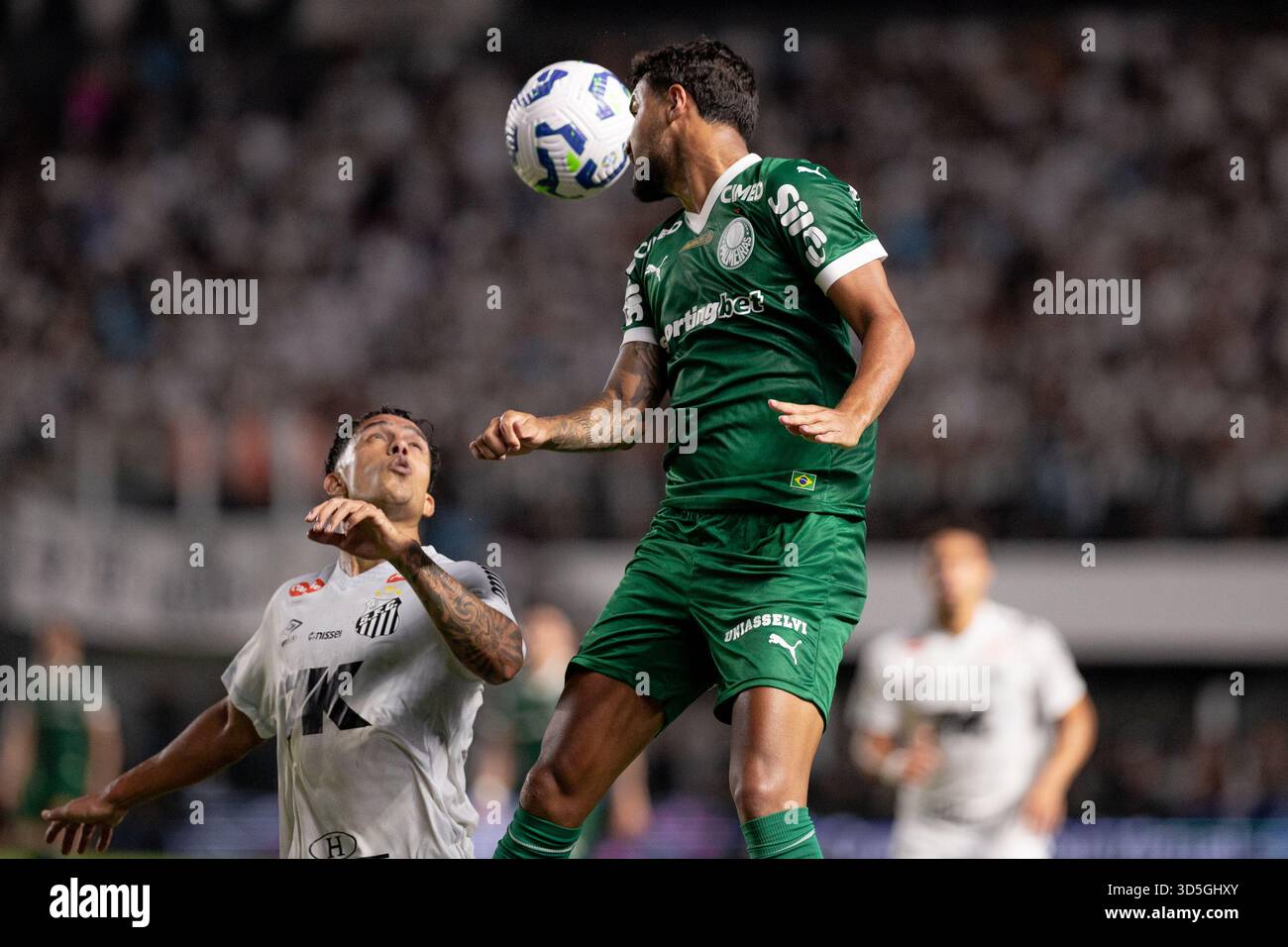 Vila Belmiro SANTOS (BR), 11/15/2025 - Brazilian Championship/ SANTOS x ...