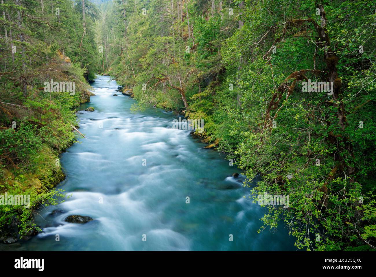 Duckabush River running through Olympic National Forest, Jefferson ...