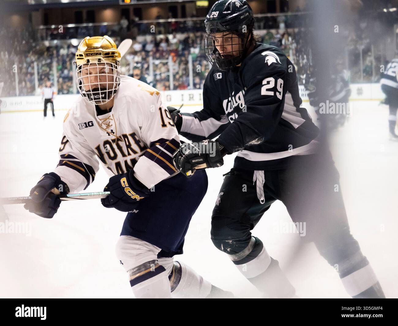 SOUTH BEND, IN - NOVEMBER 15: Michigan State Spartans forward Gavin O ...