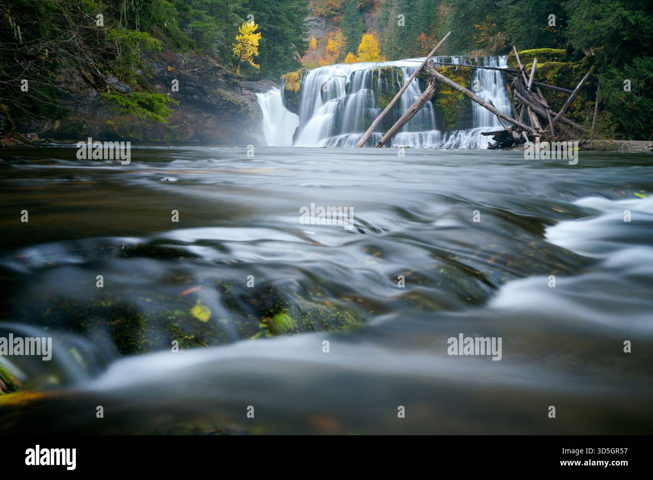 The Lewis River flows over the Lower Lewis River Falls in autumn ...