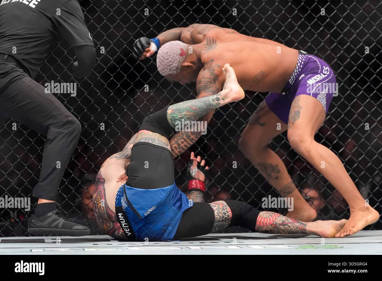 Ecuador's Michael Morales, top, punches Sean Brady, bottom, during the ...
