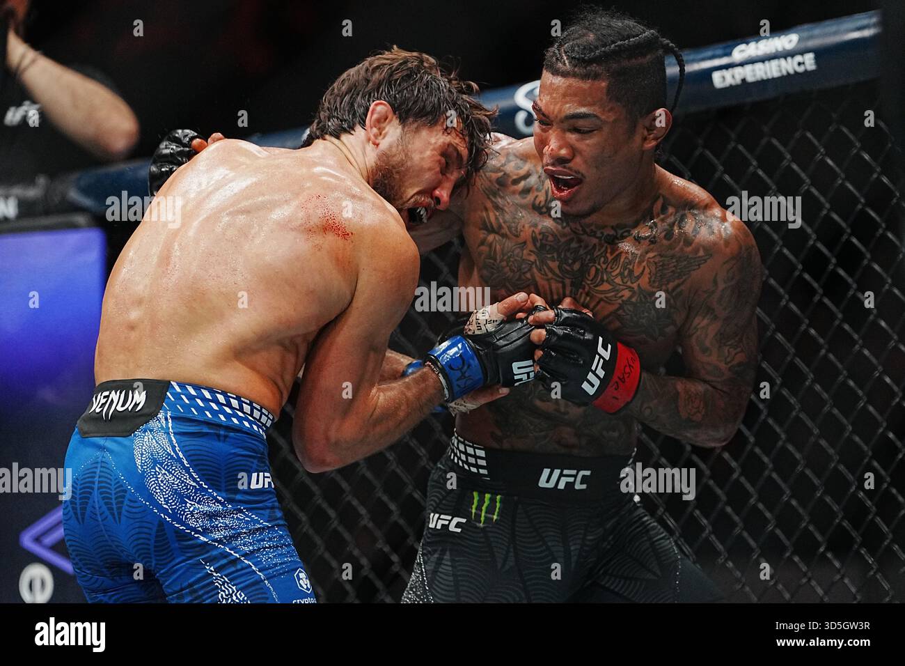 November 15, 2025, New York City, Ny, New York City, Ny, United States ...