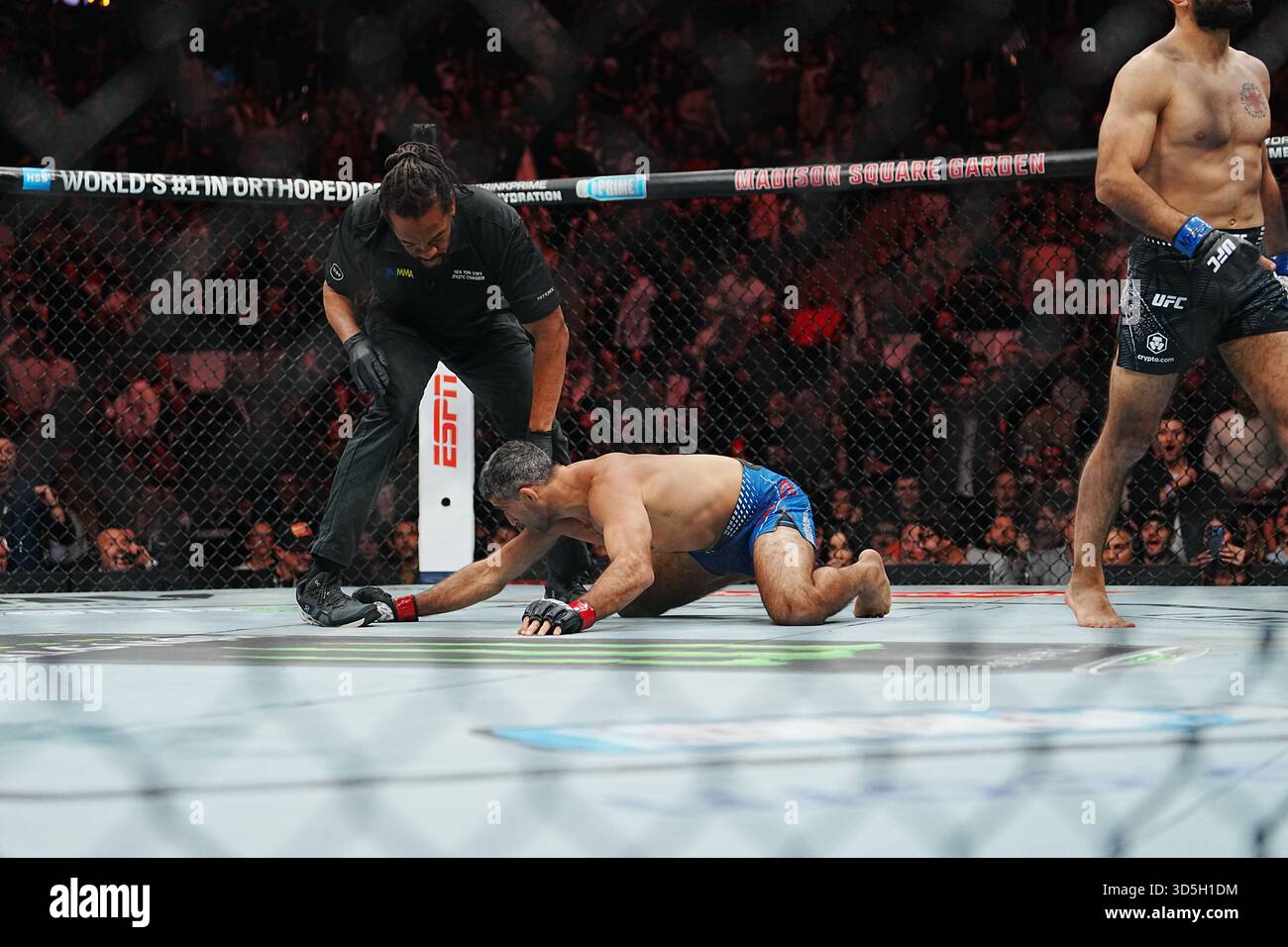 November 15, 2025, New York City, Ny, New York City, Ny, United States ...