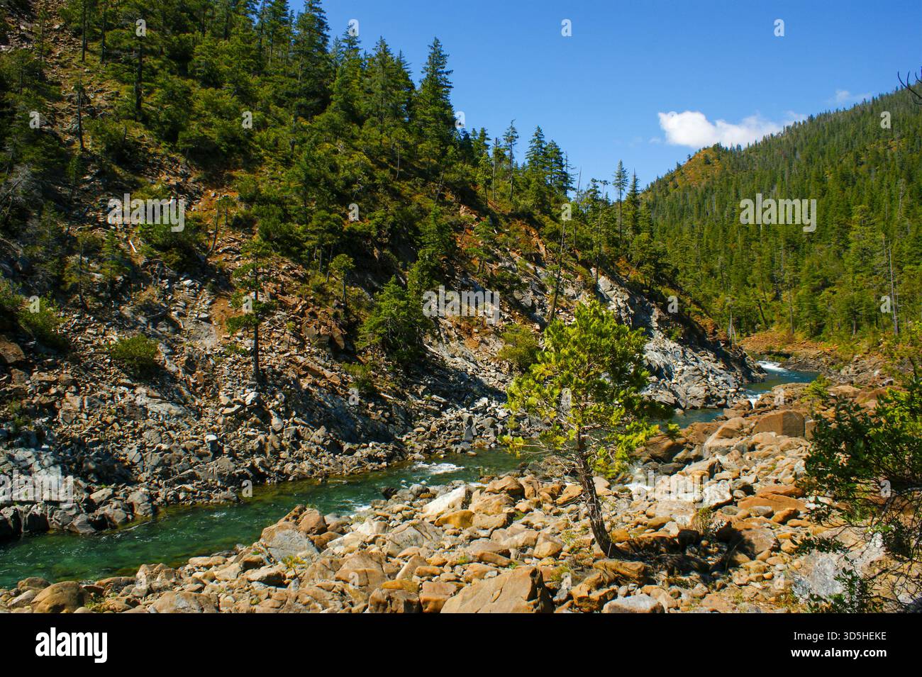 Mountain landscape with Smith river, rocks, and conifer forest in ...