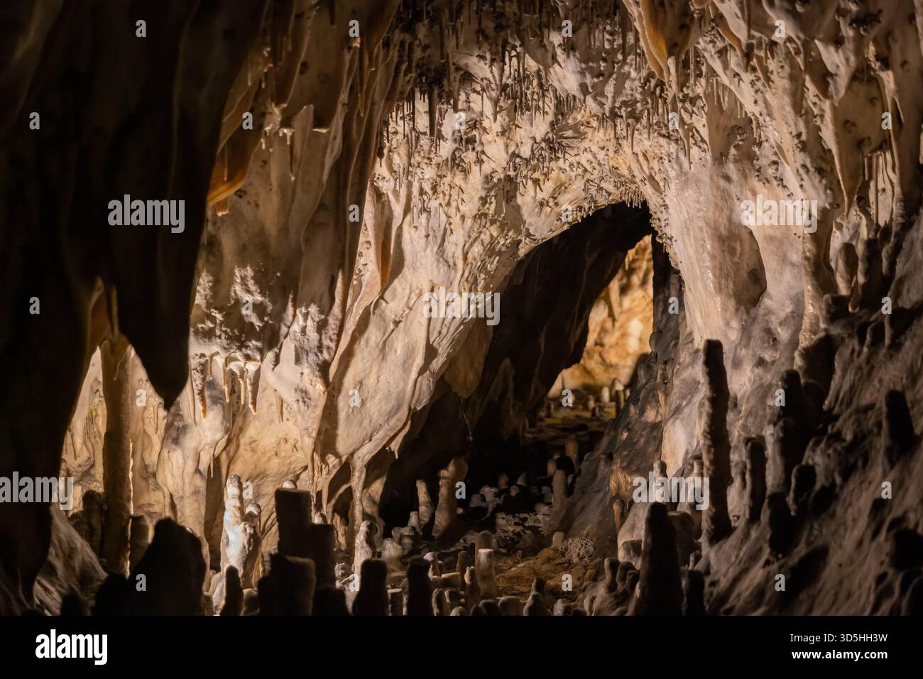 Postojna Cave (Postojnska jama) in Slovenia, underground rock ...