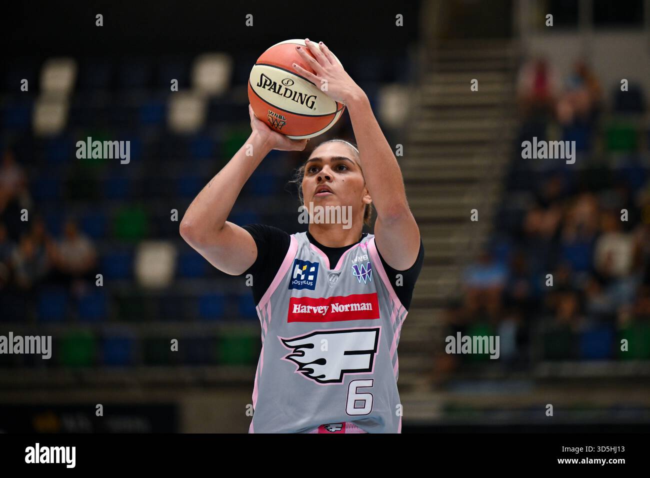 Shaneice Swan of the Flames in action during the WNBL Round 5 match ...