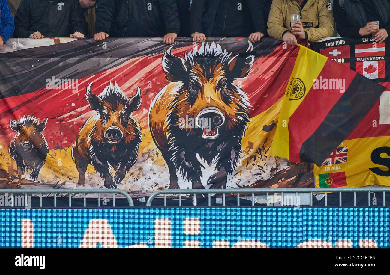 DFB fans in the FIFA World Cup 2026 qualifier match LUXEMBOURG ...