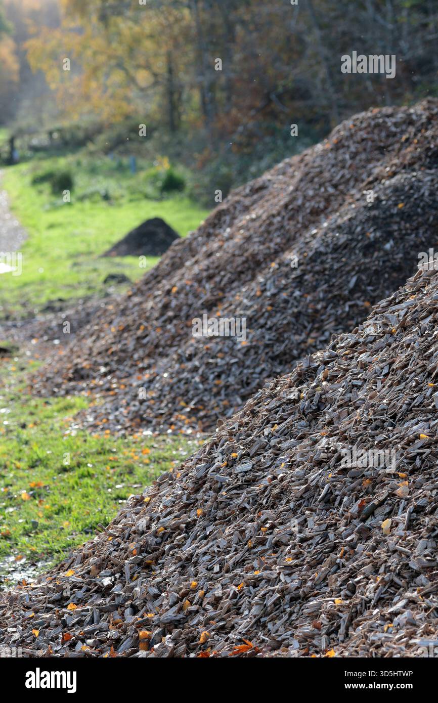 Wood chip pile portrait format hi-res stock photography and images - Alamy