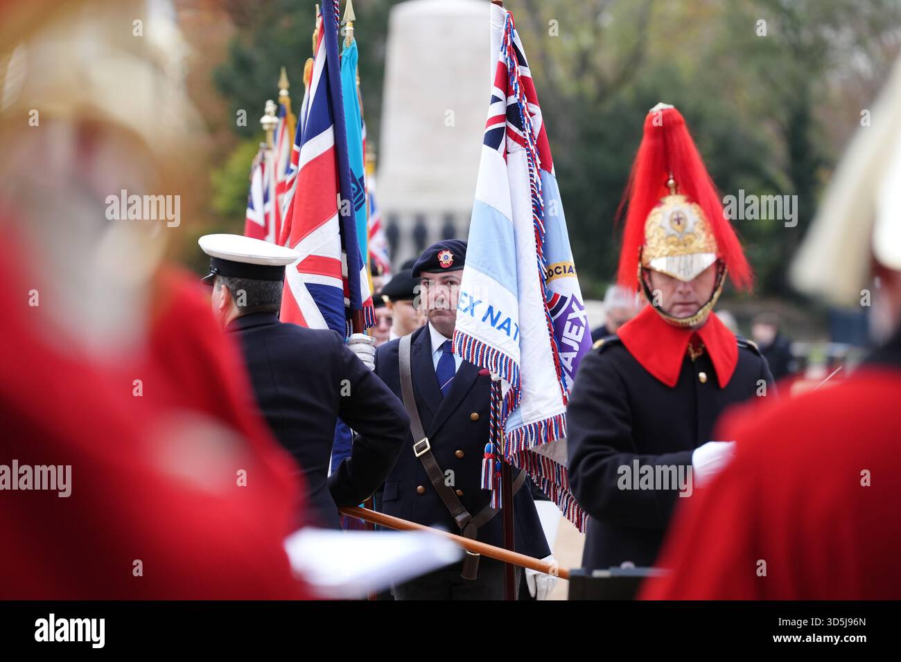 Standard bearers form up behind the Household Cavalry Band musicians at ...