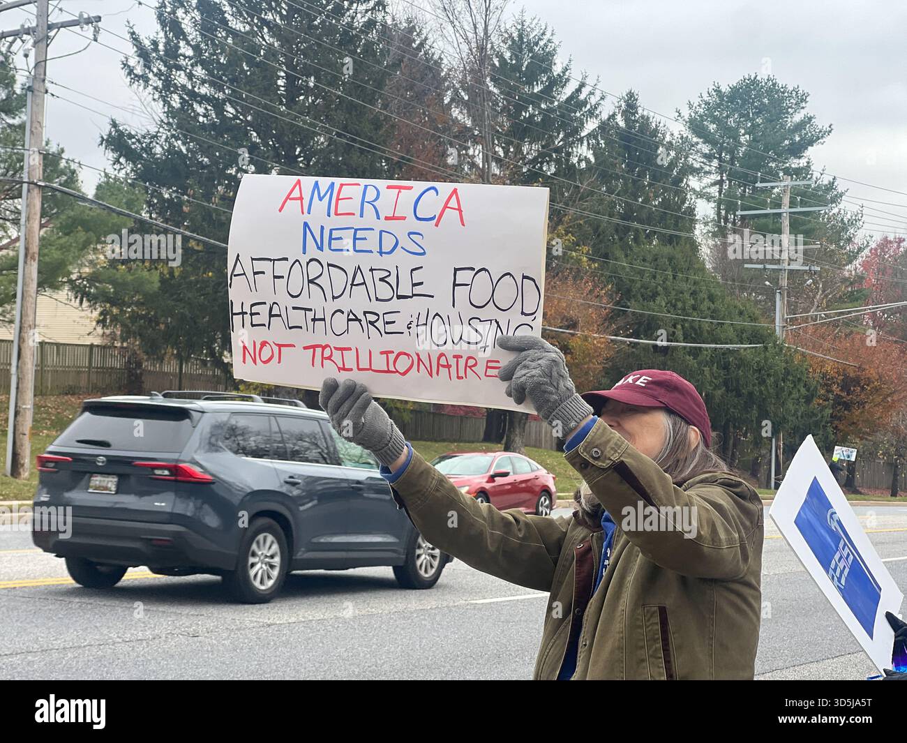 November 16, 2025, Owings Mills, Maryland, USA. Protesters stand along ...