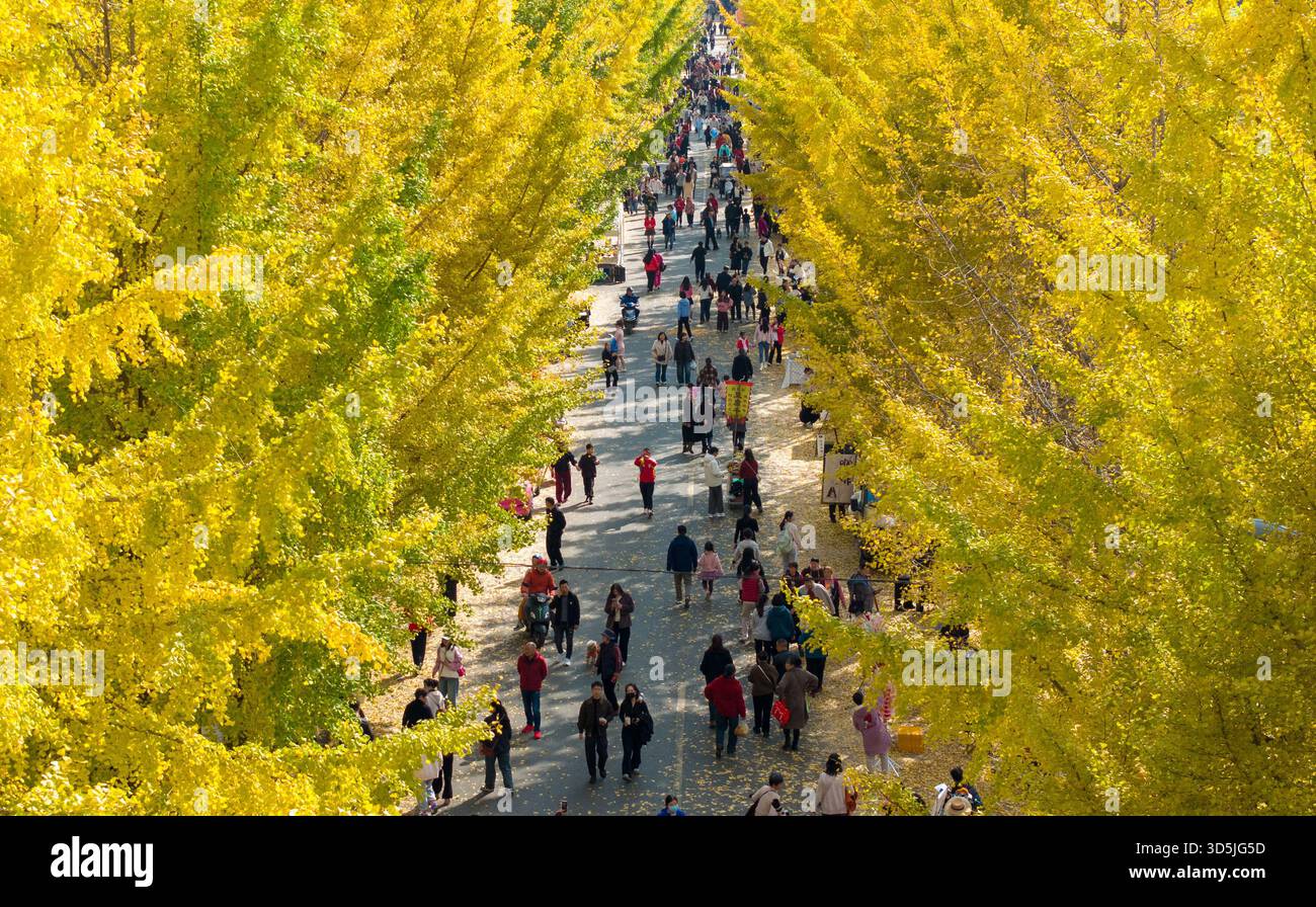 (251116) -- BEIJING, Nov. 16, 2025 (Xinhua) -- An aerial drone photo ...