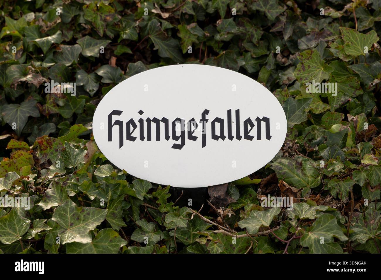 Friedhof, Schild Heimgefallen - Bedeutet das Nutzungsrecht am Grab ist ...