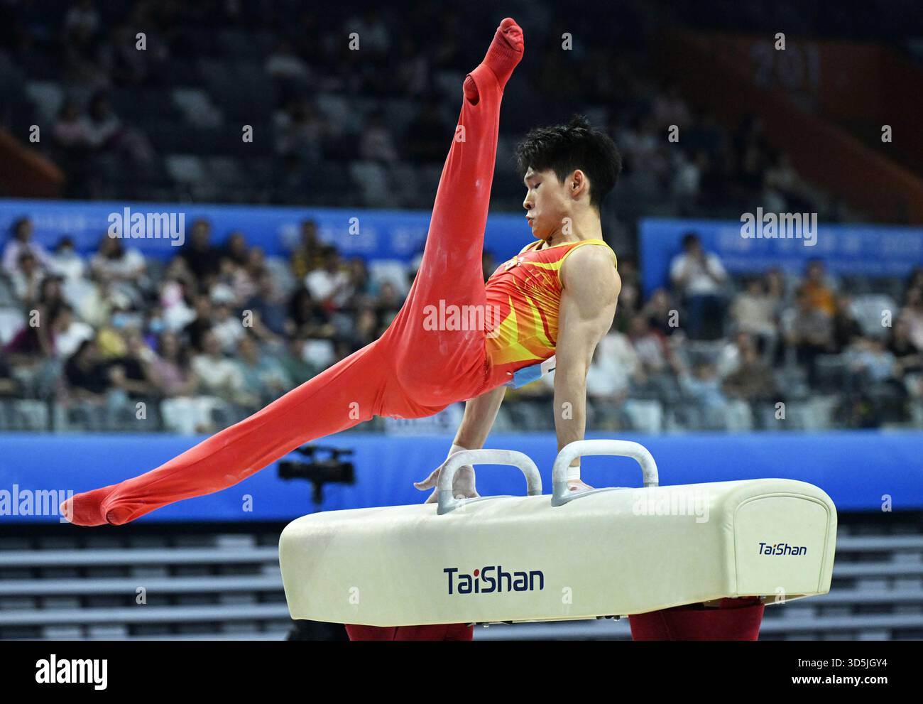 (251116) -- ZHAOQING, Nov. 16, 2025 (Xinhua) -- Wang Chengcheng of ...