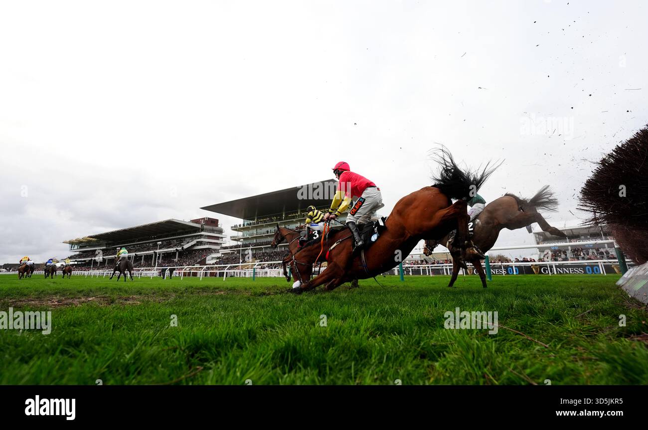 Calgary Tiger ridden by jockey Harry Reed falls at the last fence ...