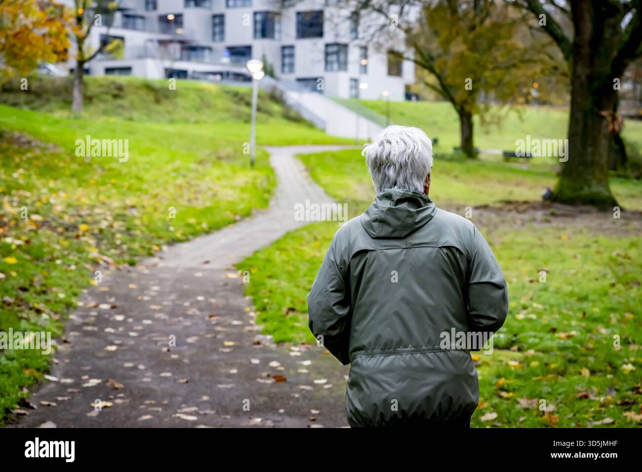 ARNHEM - Walking the dog in the forest Golden retriever . ANP ...
