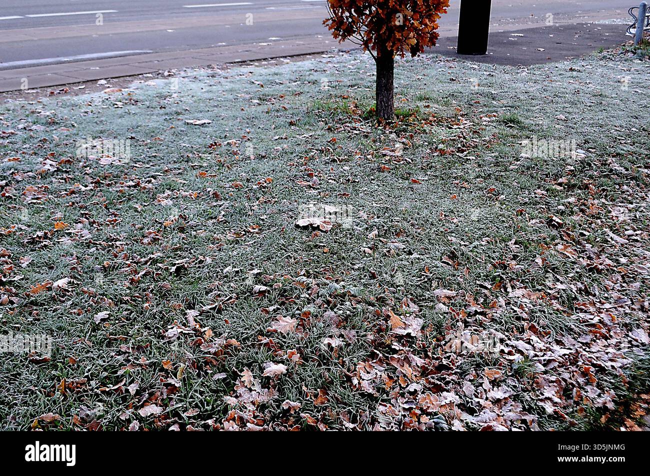 Copenhagen/Denmark/ 16 .november 2025/ Photo .Francis Joseph Dean/Dean ...