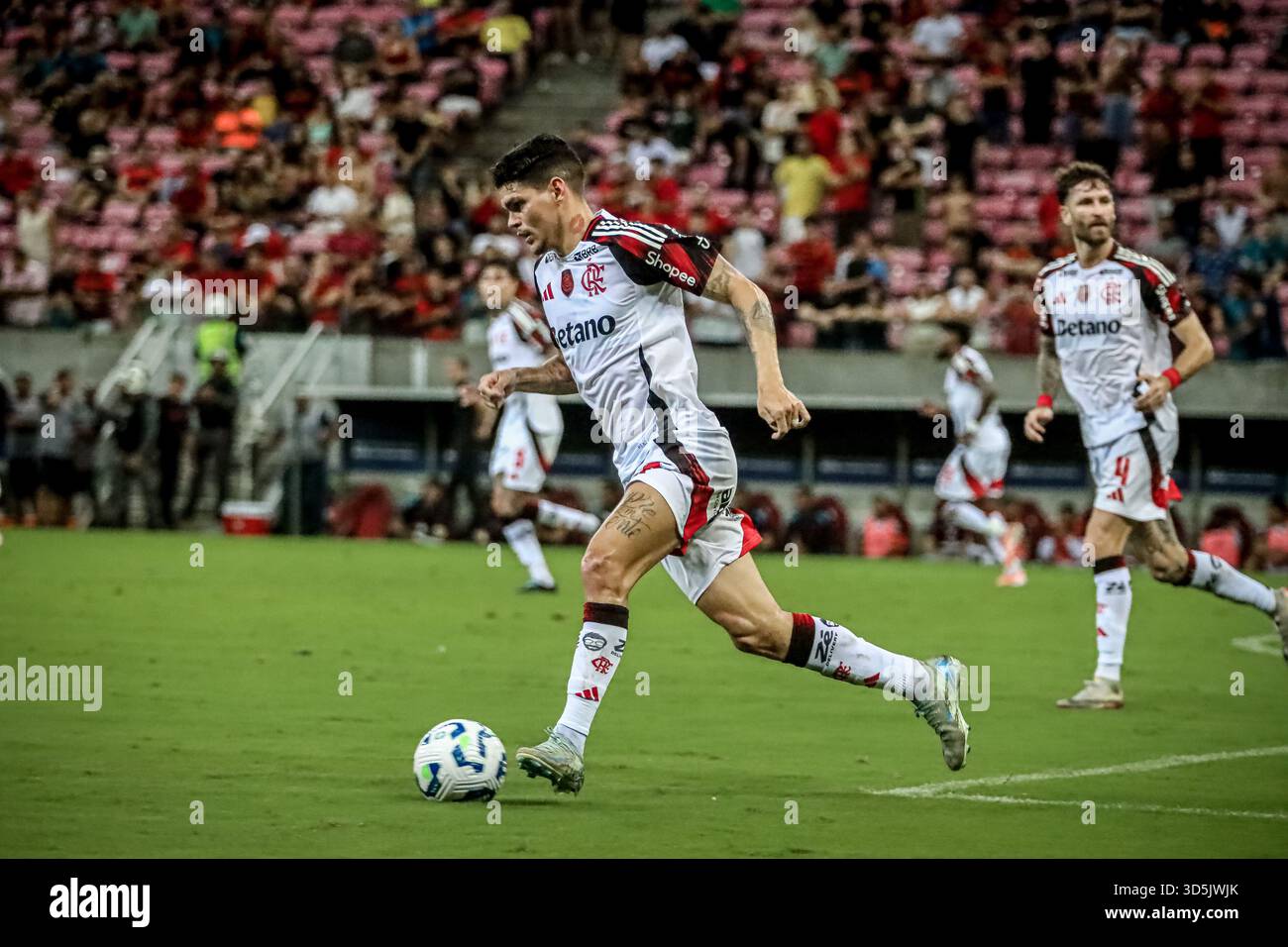 PE - RECIFE - 11/15/2025 - BRAZILIAN CHAMPIONSHIP A 2025, SPORT x ...