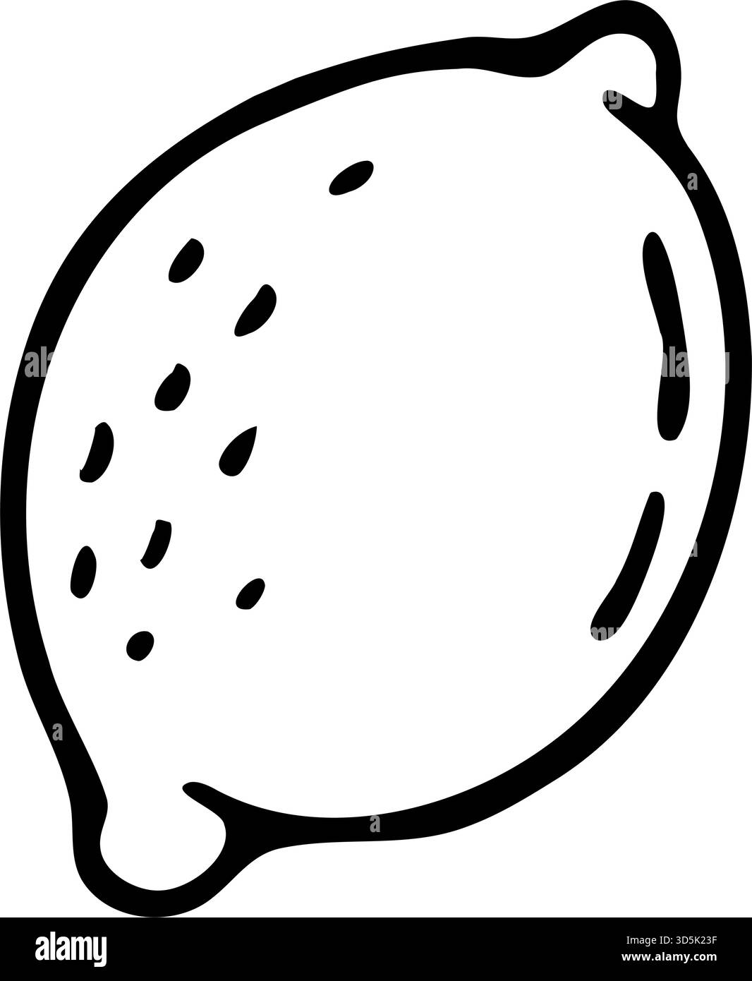Vector illustration doodle hand drawn lemon food fruit citrus whole ...
