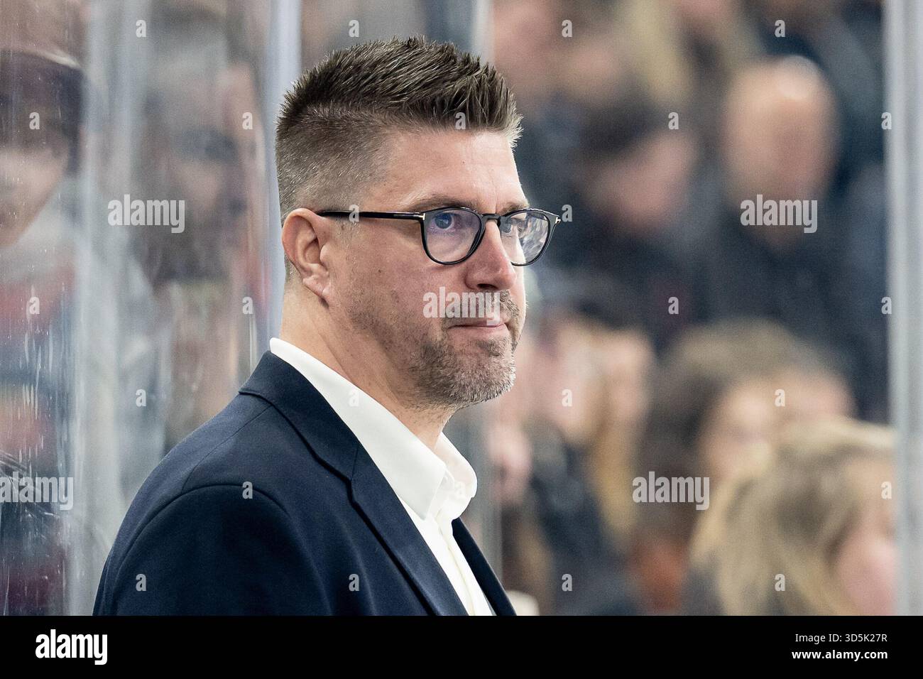 Jochen Hecht (Assistant Coach, Nuremberg Ice Tigers) / Portrait ...