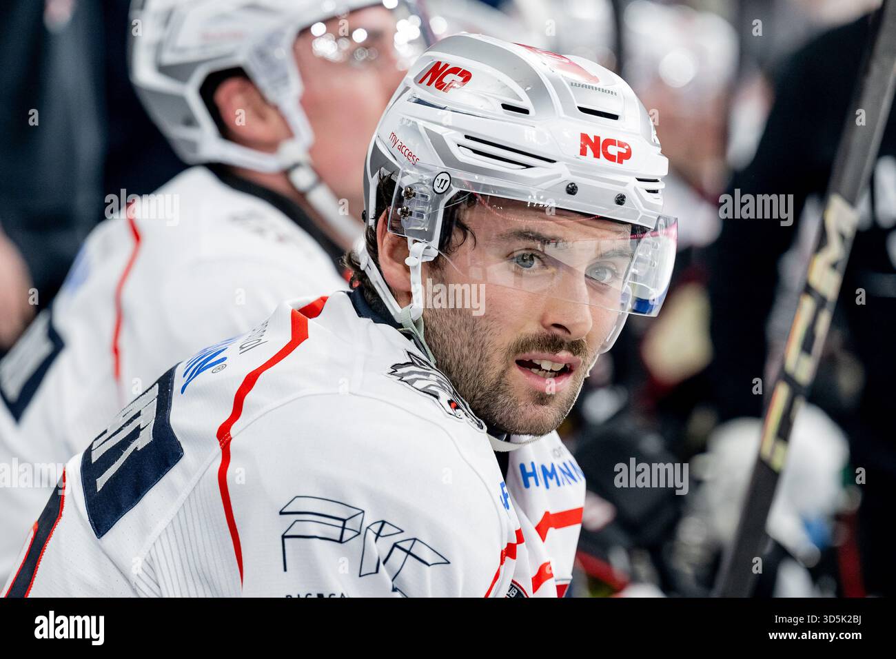 Evan Barratt (Nuremberg Ice Tigers, #10) / Portrait / Portrait GER, EHC ...