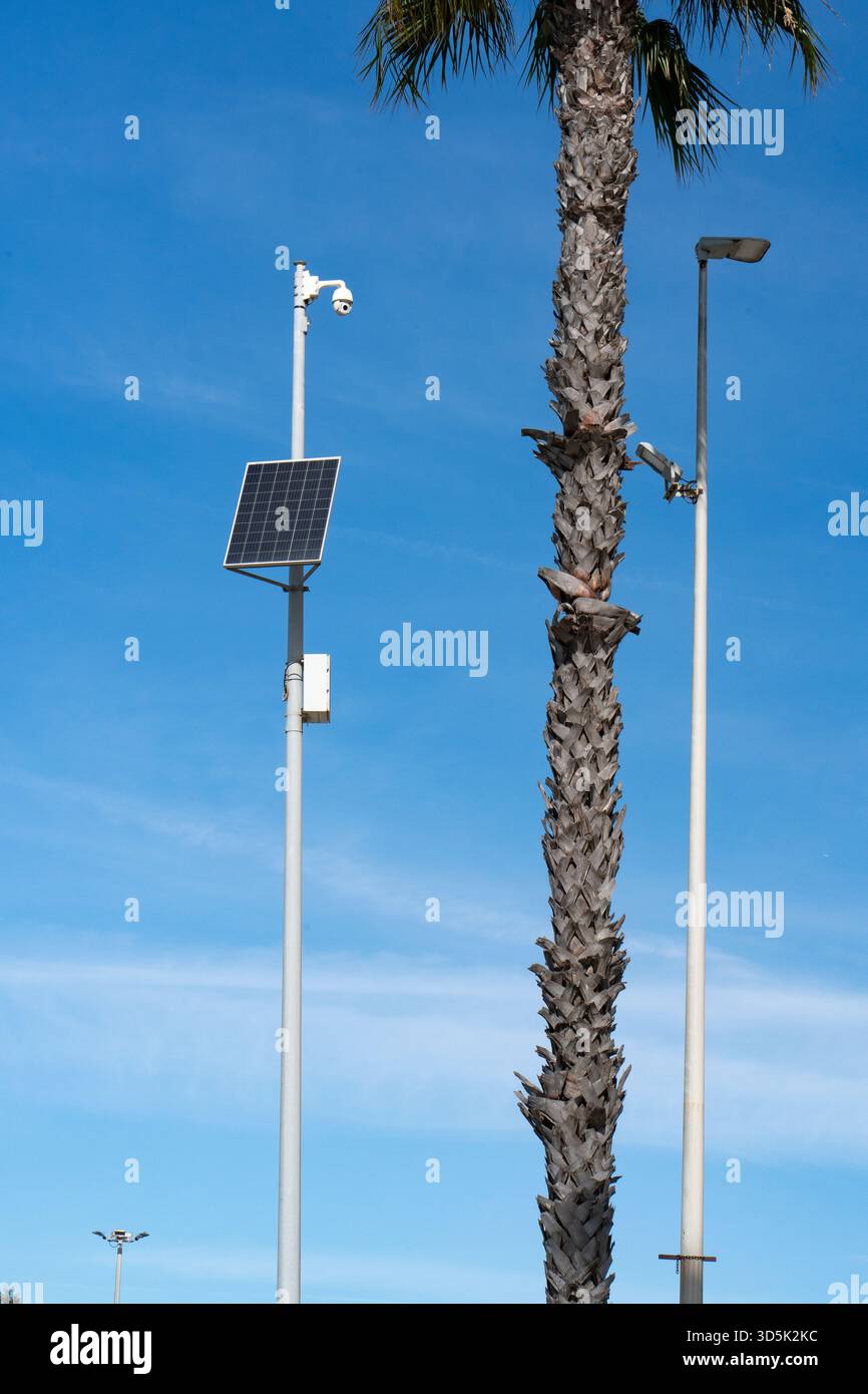 Traffic Surveillance Mast with Cameras and a Palm Tree in Urban Street ...