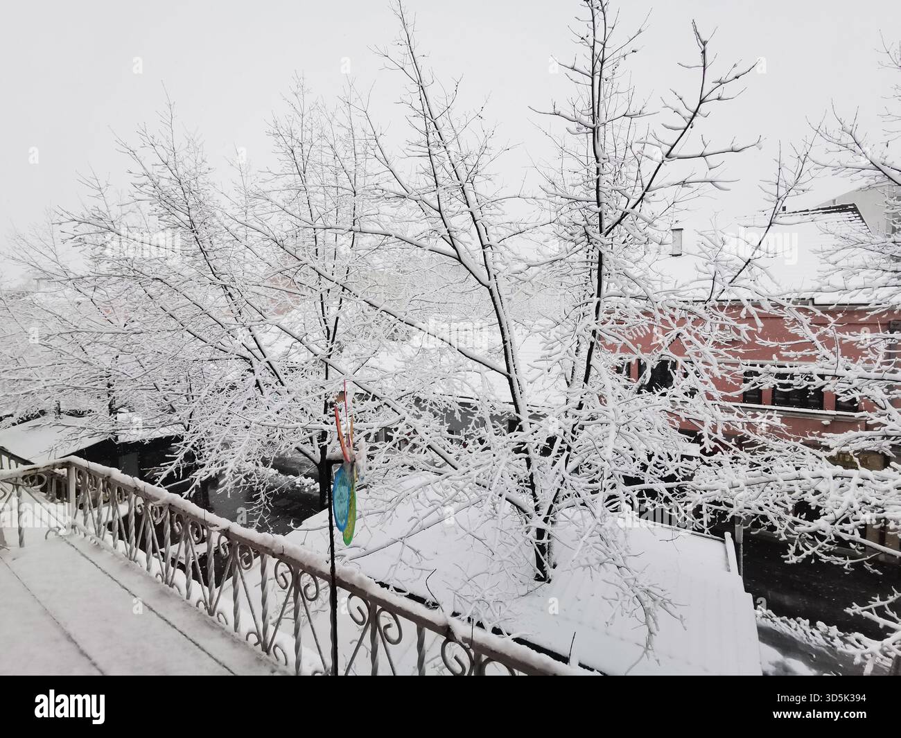 Snow covered trees balcony view New Year 2026 Stock Photo - Alamy