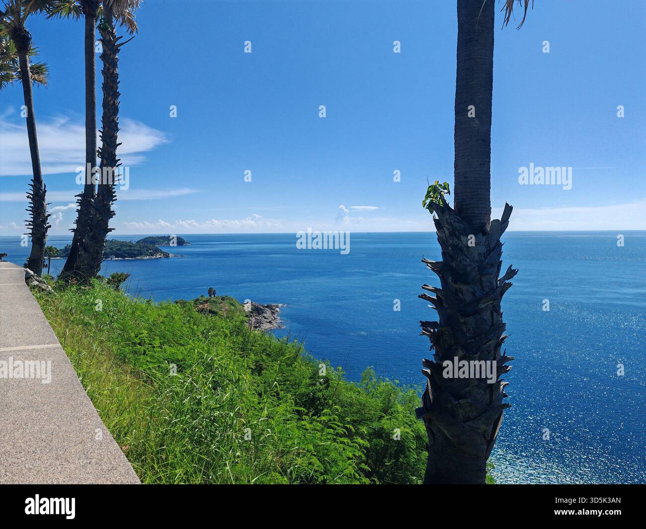 Palm lined coastal walkway overlooking calm blue tropical sea Stock ...